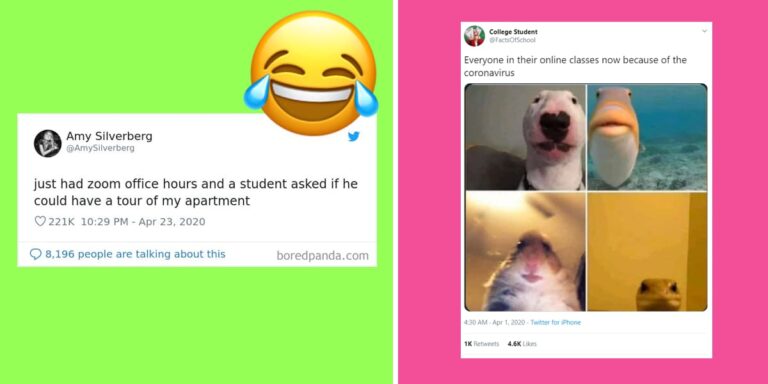 13 Funny Memes About Online Classes In 2020 That'll Give You A Good ...
