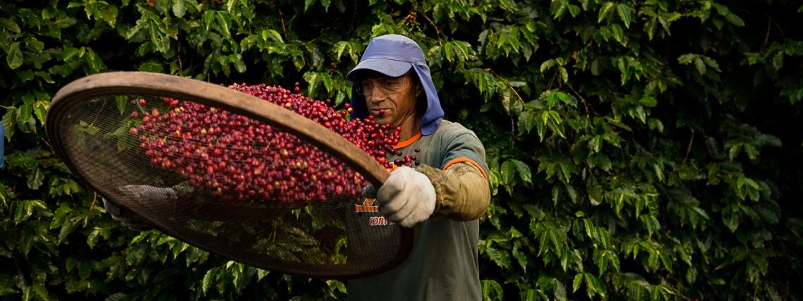 Think Outside the Cup: Here’s Why George Clooney Is Holding an Empty ...