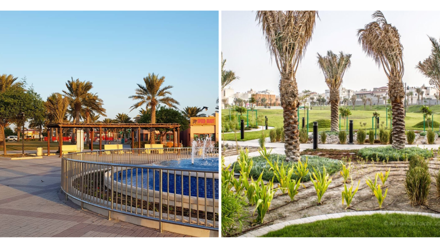 Check Out These 5 Parks in Bahrain for a Fun Picnic Day | Local Bahrain