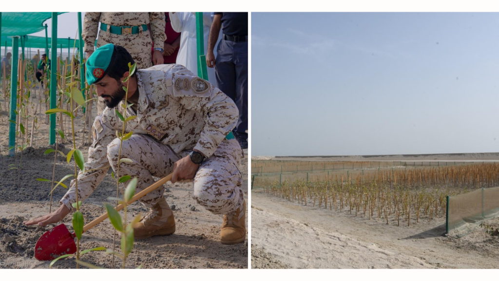 A Greener Bahrain! HH Shaikh Nasser Plants the 100,000th Mangrove Tree ...