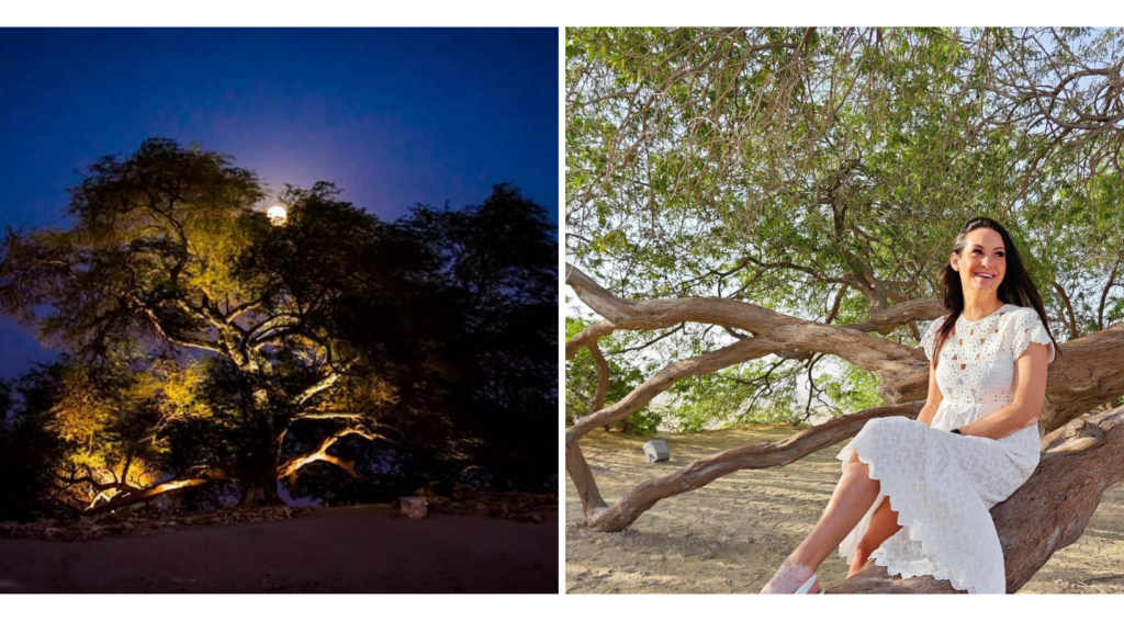 Breathtaking! Bahrain's Tree of Life Shines on the Guardian's World's ...