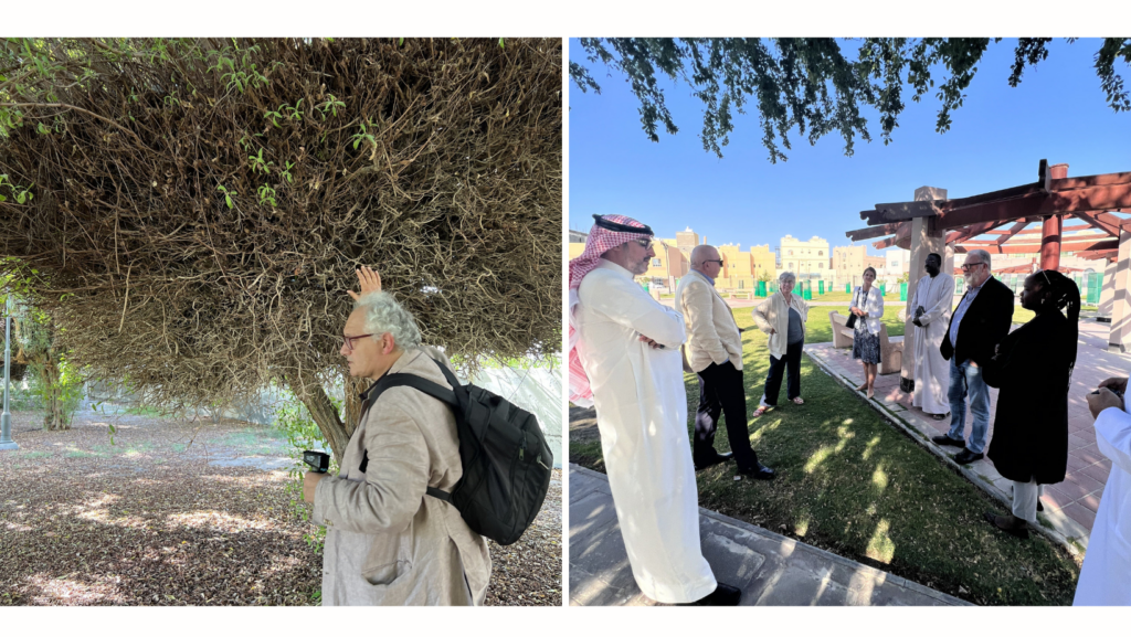 Making Bahrain Greener and Happier: The Big Plan for Our Parks | Local ...